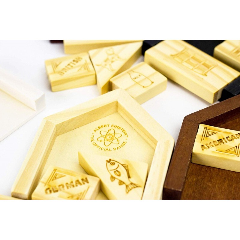Acheter Einstein House Riddle Wood Puzzles