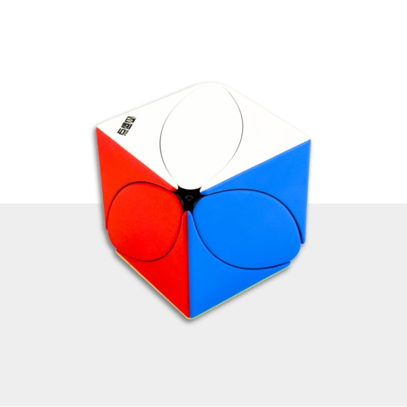 DianSheng Giant Ivy Cube (9cm) - Lierre géant pour la résolution rapide ...